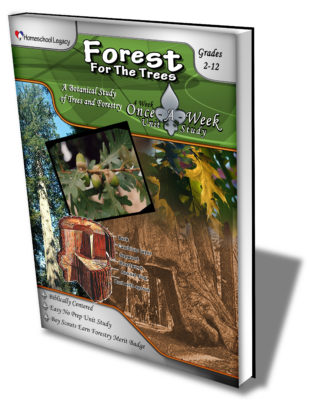 Forest For the Trees - Homeschool Legacy