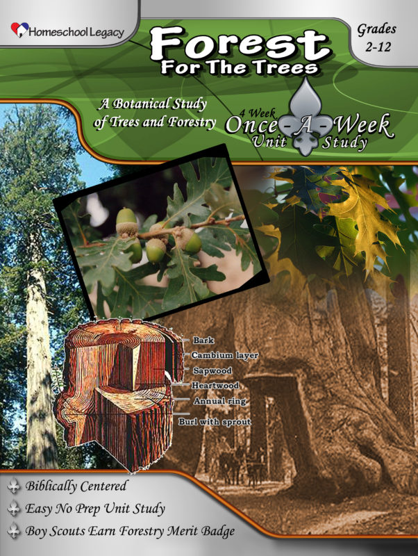 Forest For the Trees - Homeschool Legacy